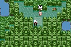 0019 – Pokémon 4Ever – Guida Pokémon Scarlatto e Violetto