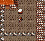 517 – Pokémon 4Ever – Guida Pokémon Scarlatto e Violetto